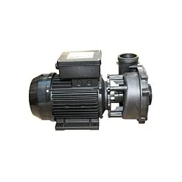 Waterway | Executive Euro Pump - 3 HP, Dual Speed